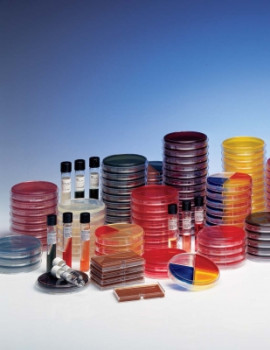 BD BBL™ Prepared Plated Media | Krackeler Scientific, Inc.